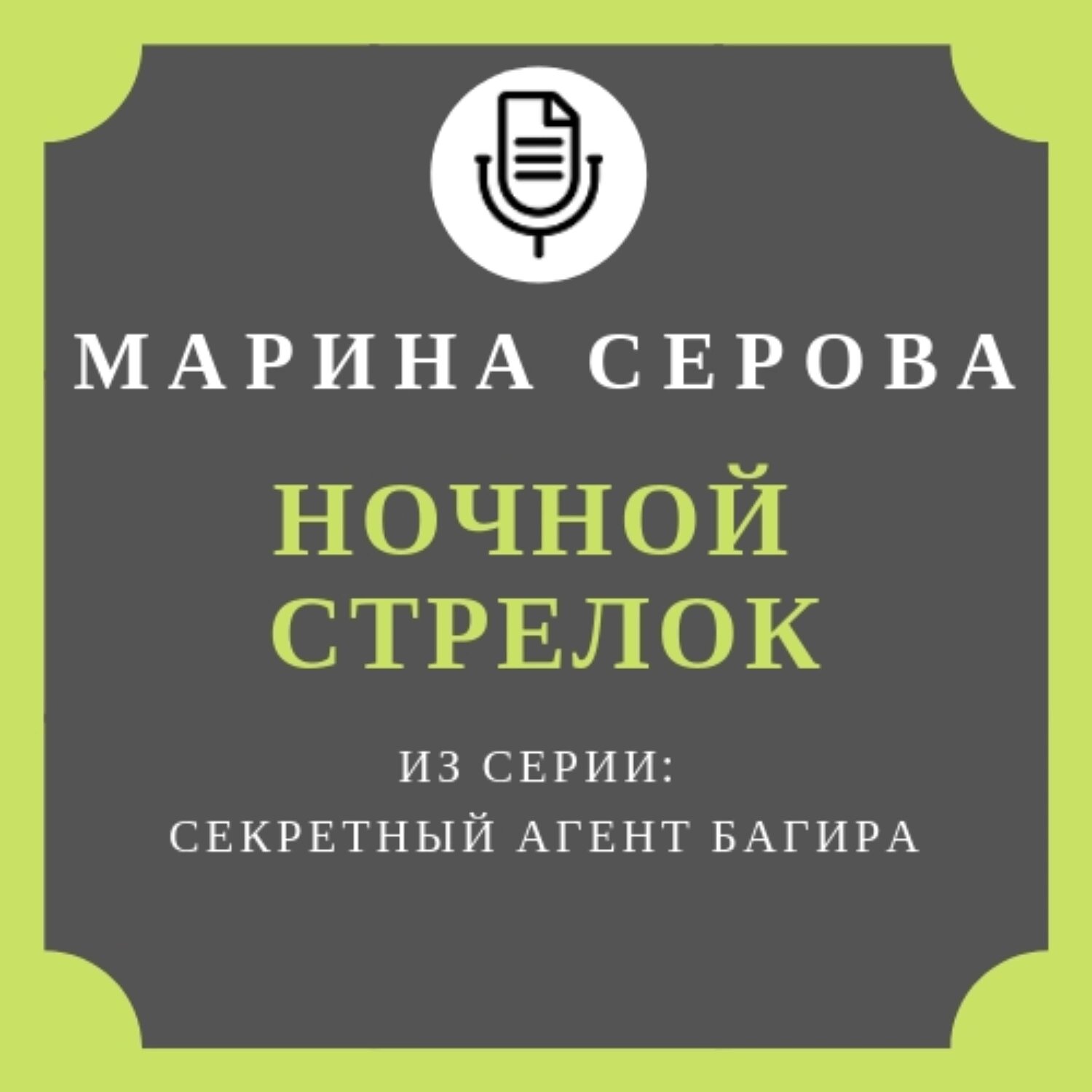 Ночной стрелок [Аудиокнига]