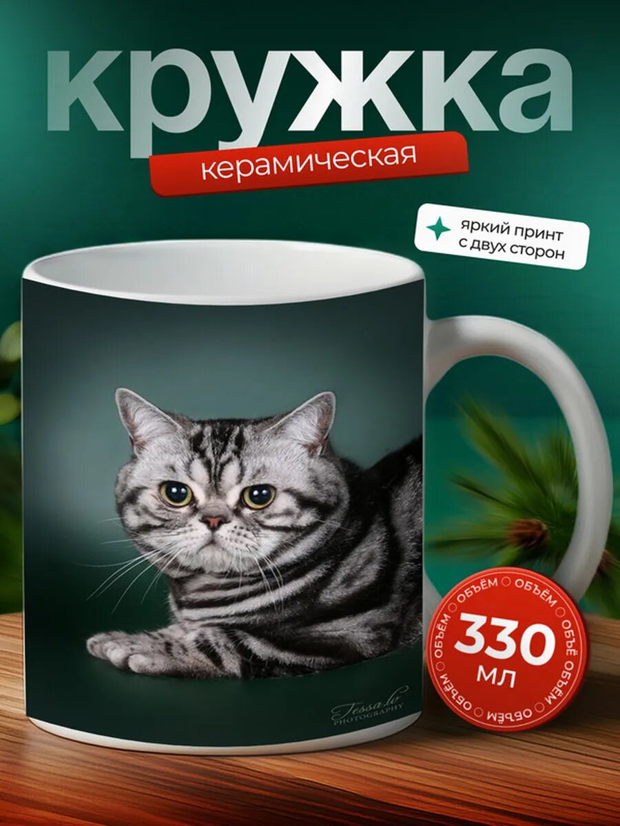 Кружка Гельдерландский ветрогон кот 24,