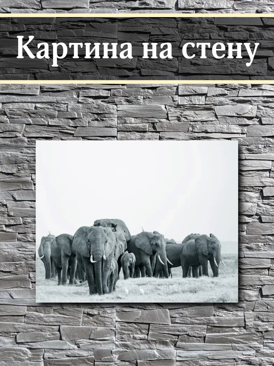 Картина на стену Слоны