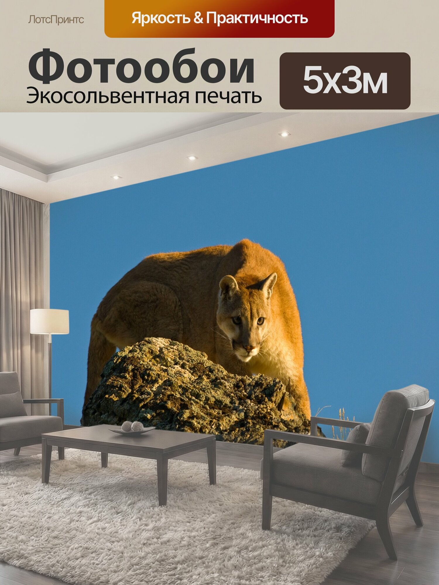 Фотообои "Пума, горный лев, приседать" 500x300 см. экосольвентная печать