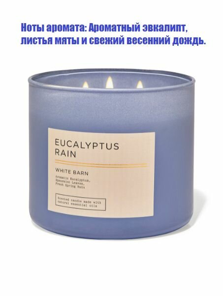 Bath and Body Works свеча ароматическая с 3-мя фитилями Eucalyptus Rain (411 грамм)