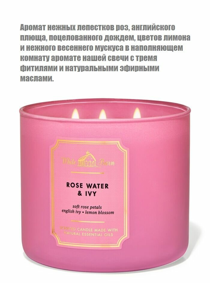 Bath and Body Works свеча ароматическая с 3-мя фитилями Rose Water & Ivy (411 грамм)