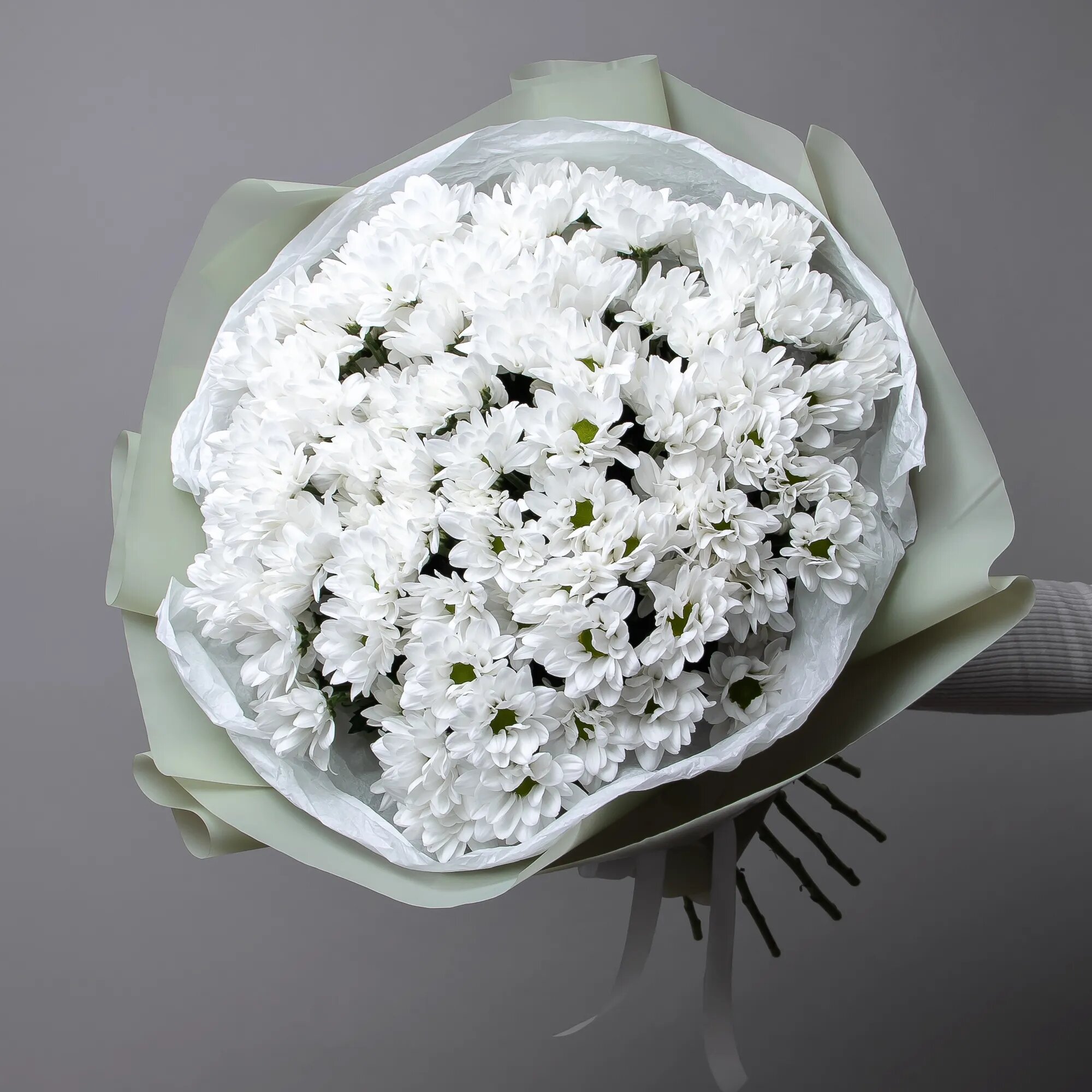 Букет Хризантема кустовая "Шик" 15 шт Высота 70 см под ленту от "Простоцветы"