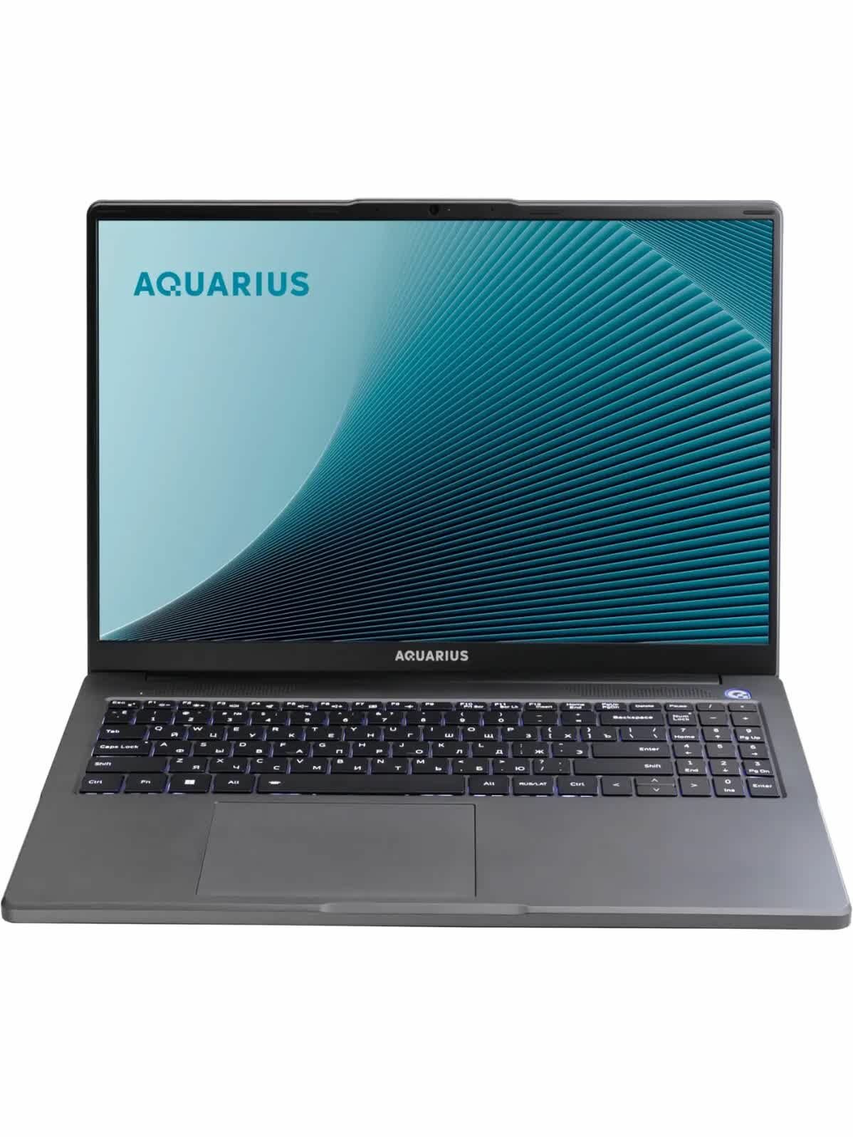 Ноутбук Aquarius Cmp NE356 серый (NE356153318S125SCN2TNNNNN2)