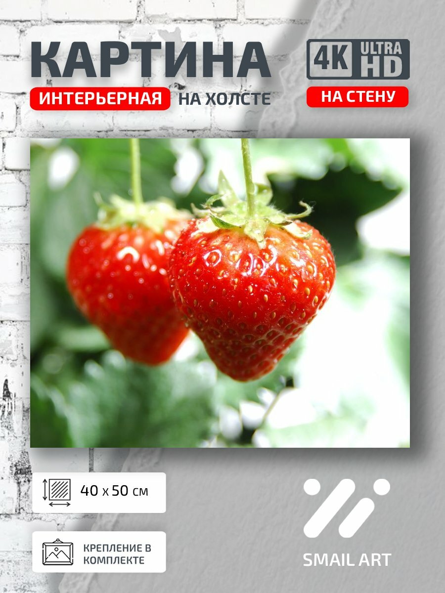 Картина на холсте интерьерная 40 на 50 на стену Листья Food для студии кулинария интерьер