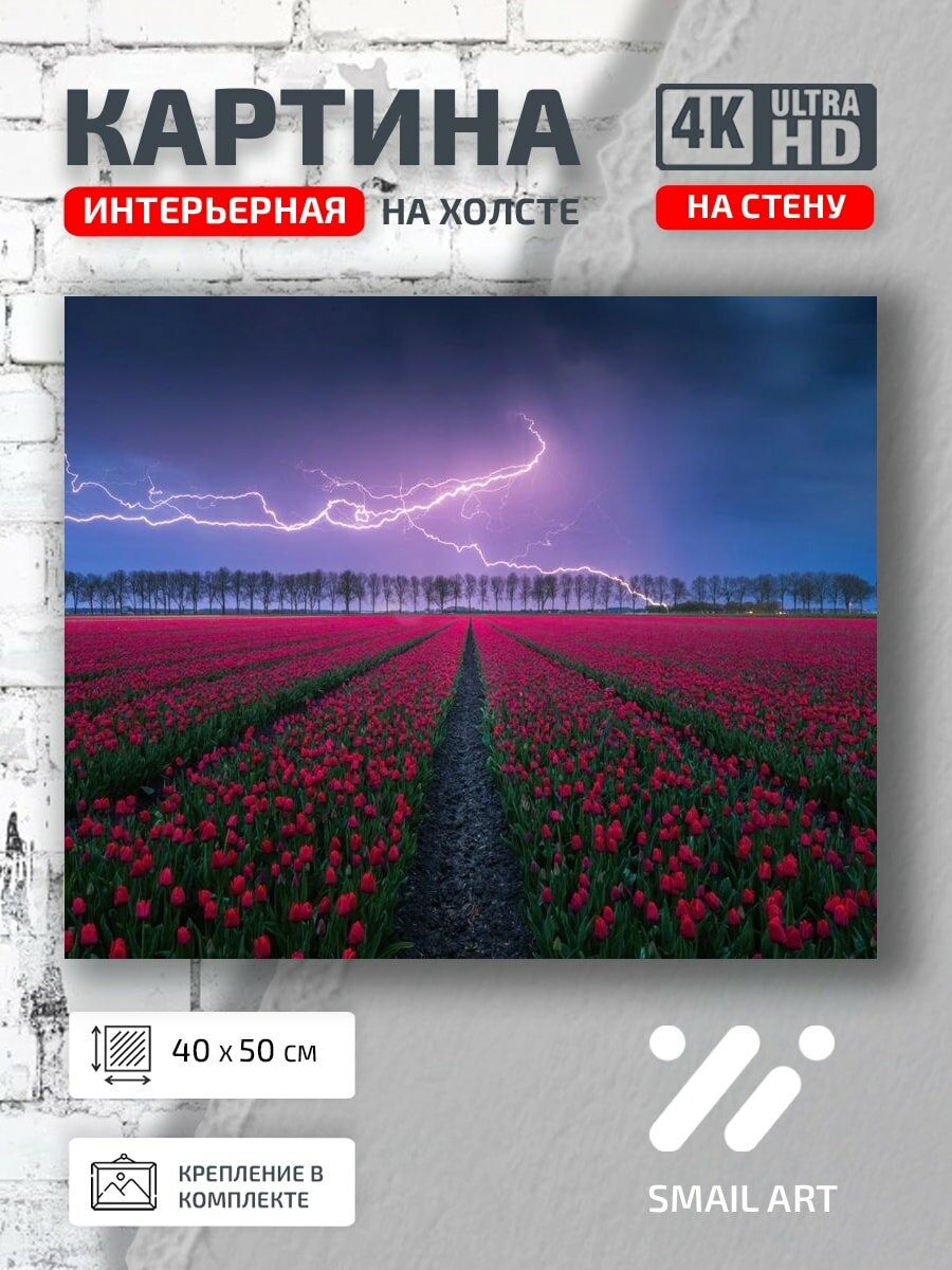 Картина на холсте интерьерная 40 на 50 на стену удар молнии для офиса пейзаж