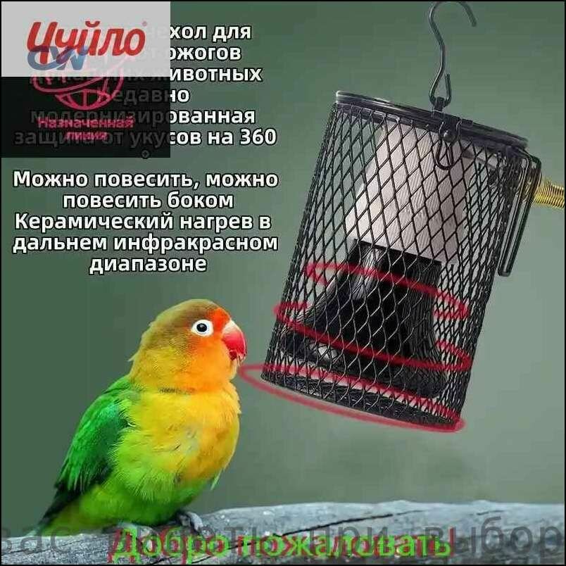 Светильник с защитной сеткой для клеток птиц, попугаев, террариумов, грызунов и кроликов, со 100-ватной теплой лампочкой в подарок