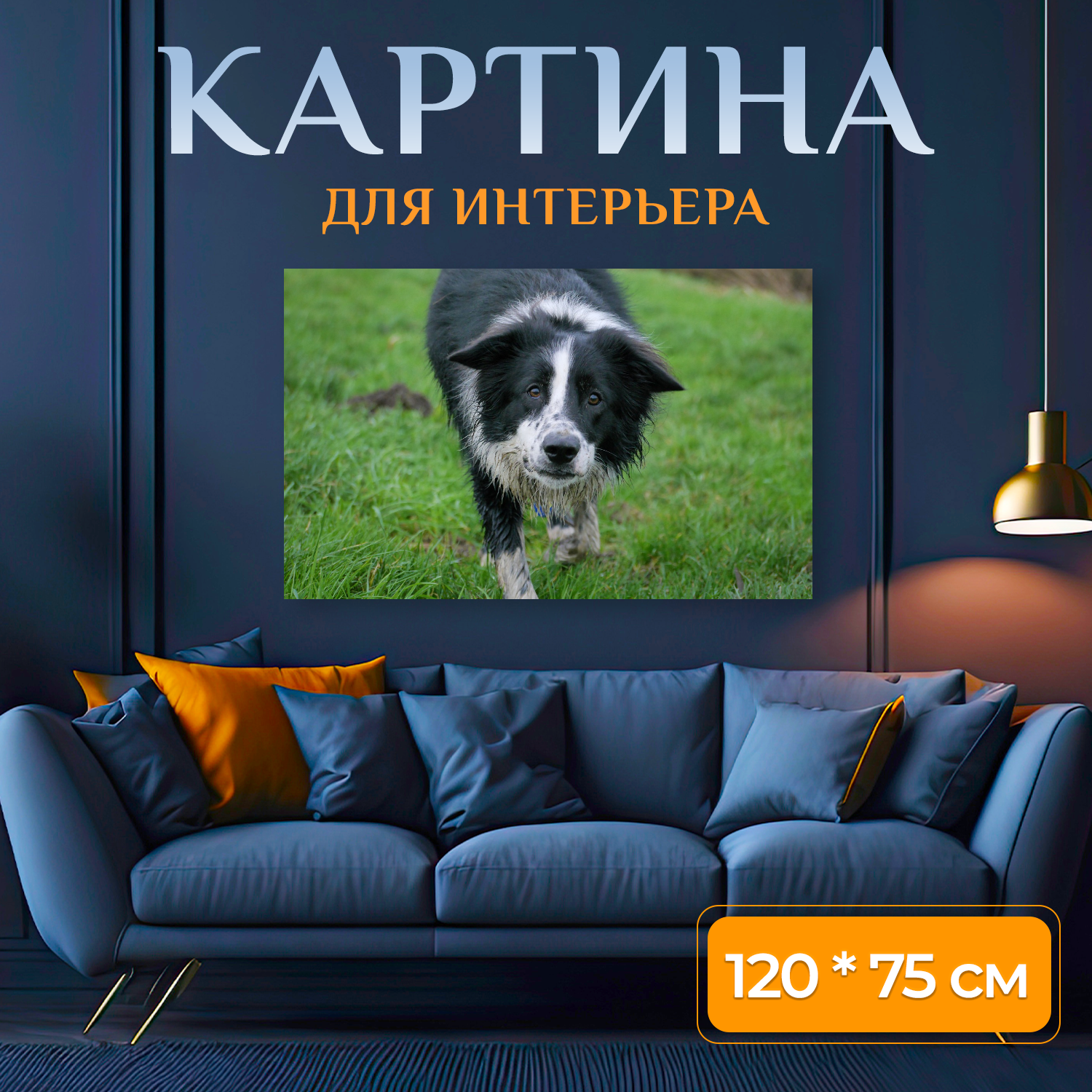 Картина на холсте "Бордер-колли, собака, колли" на подрамнике 120х75 см. для интерьера