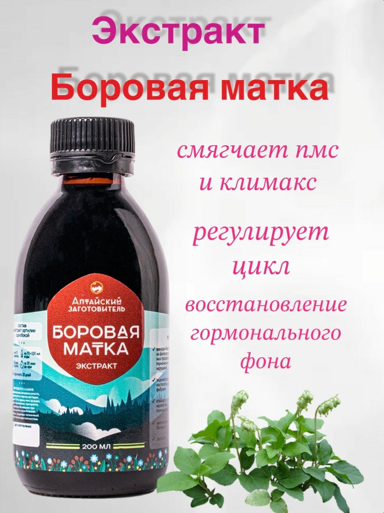 Экстракт Боровая матка - Боровая матка настойка для женщин - Алтайский заготовитель, 200 мл