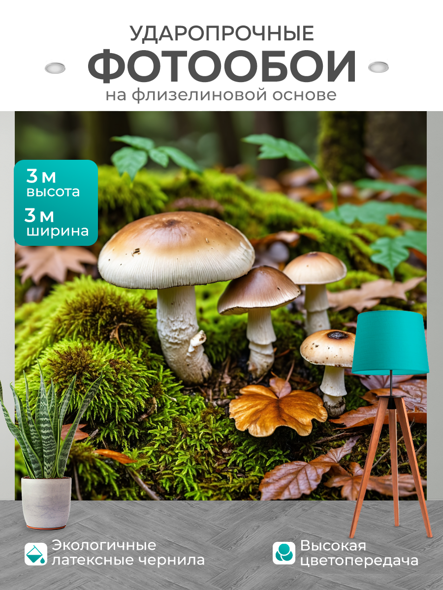 Фотообои моющиеся ударопрочные "Грибы, окруженные мягким ковром из мха и листьев" 300x300 см. флизелиновые на стену