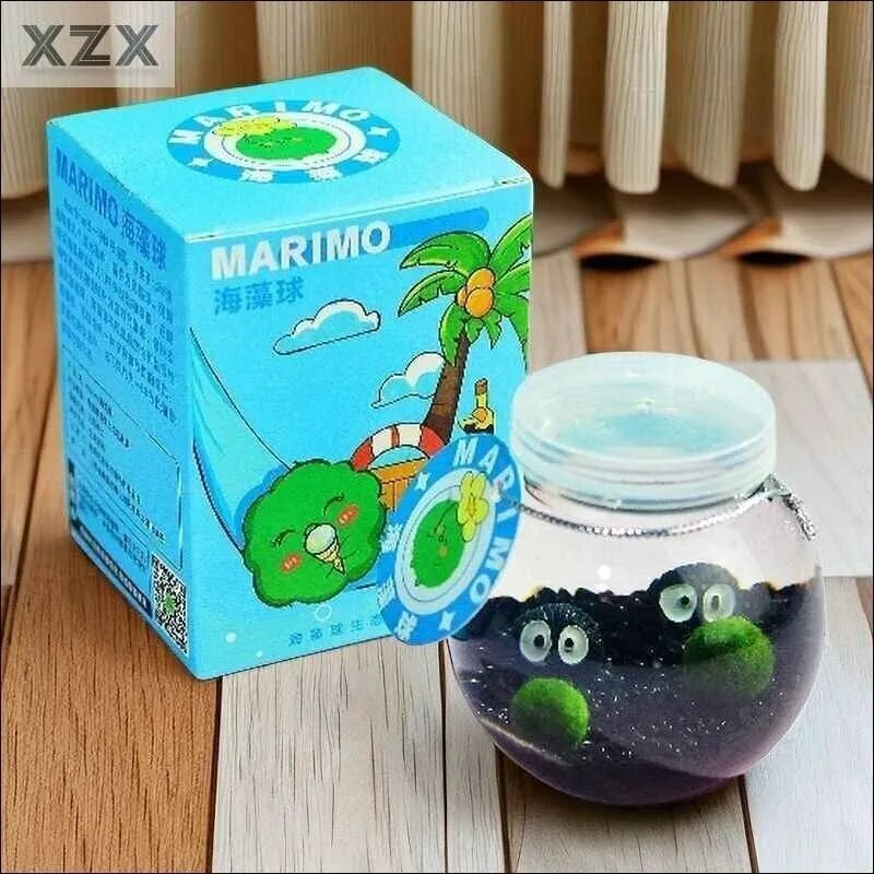 Набор для выращивания маримо живой моховой шар в аквариуме, с декоративным гелем и банкой