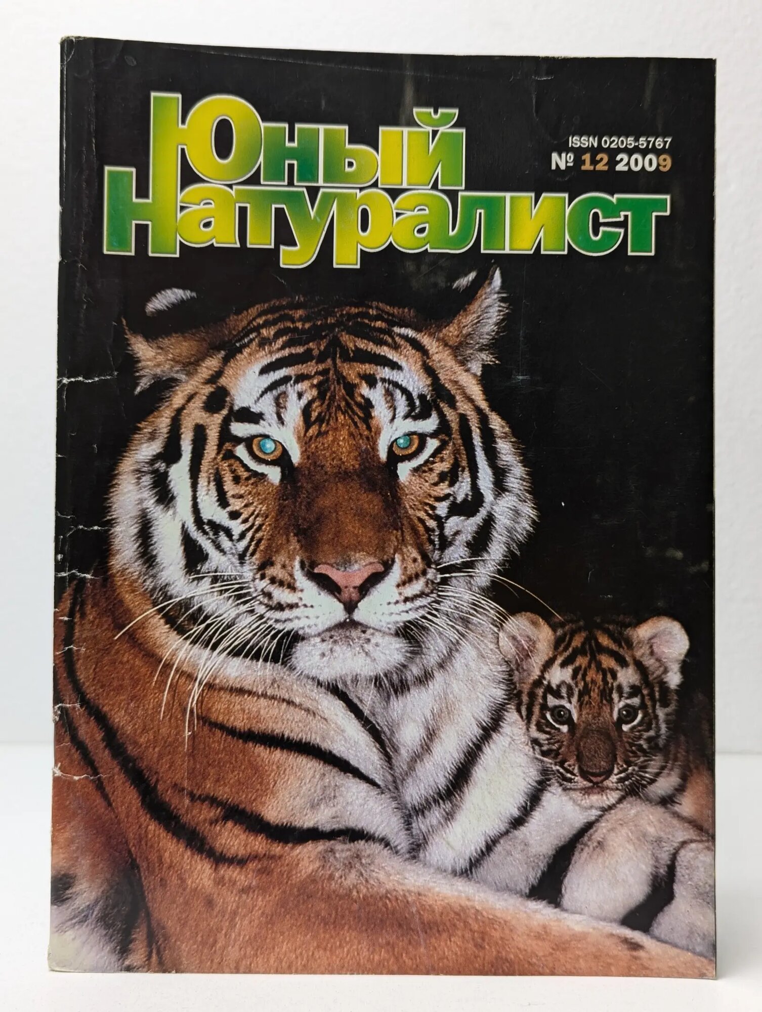 Юный натуралист. Выпуск № 12/2009 Самсонова Людмила Викторовна (ред.) 2009