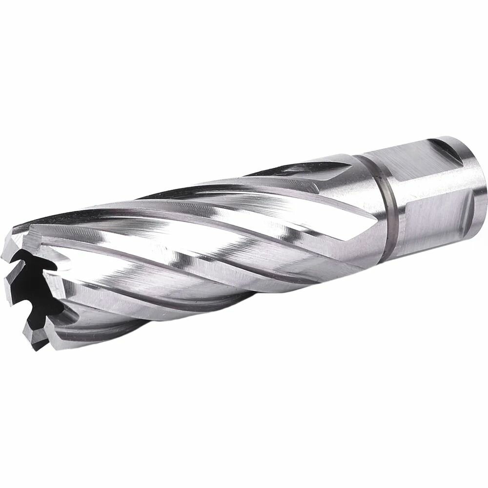 Кольцевая фреза Профоснастка №13 40101013