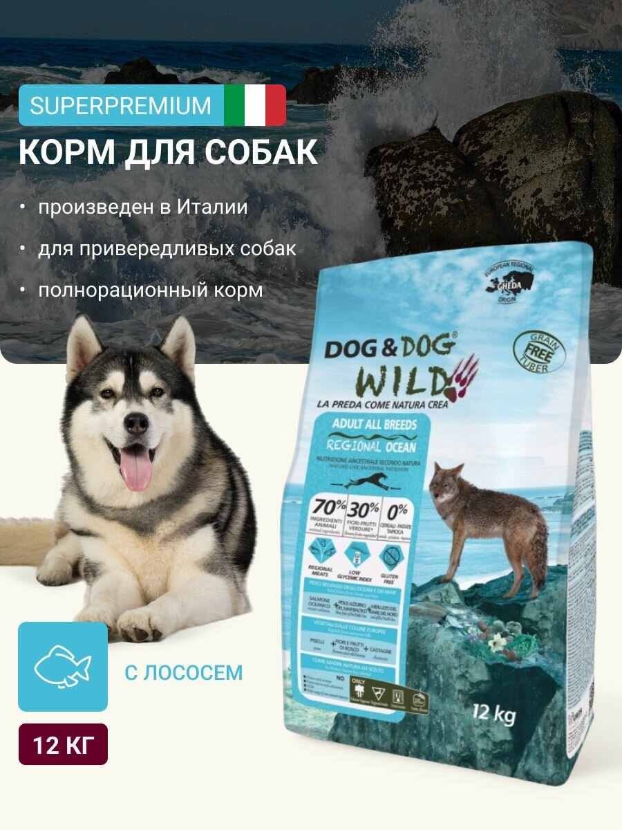 Корм для собак сухой Dog & Dog Wild Ocean, лосось 12кг (от года)