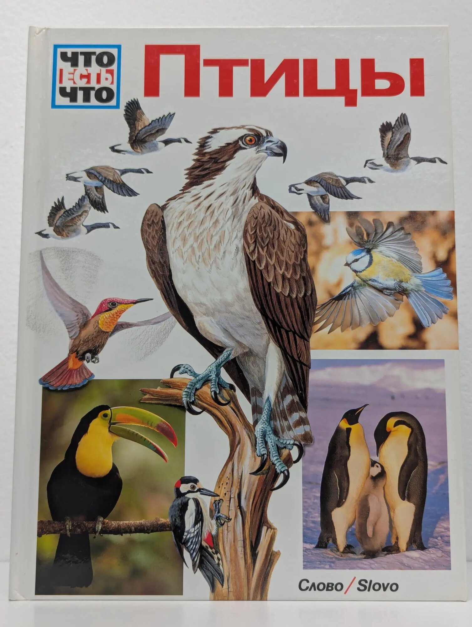 Птицы Сборник 1997