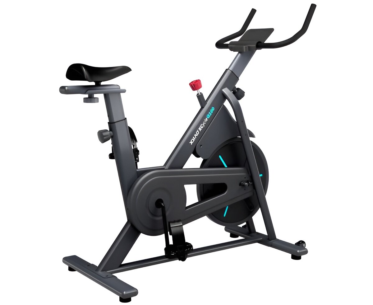 DFC Спин-байк DFC OVICX B-Q100B