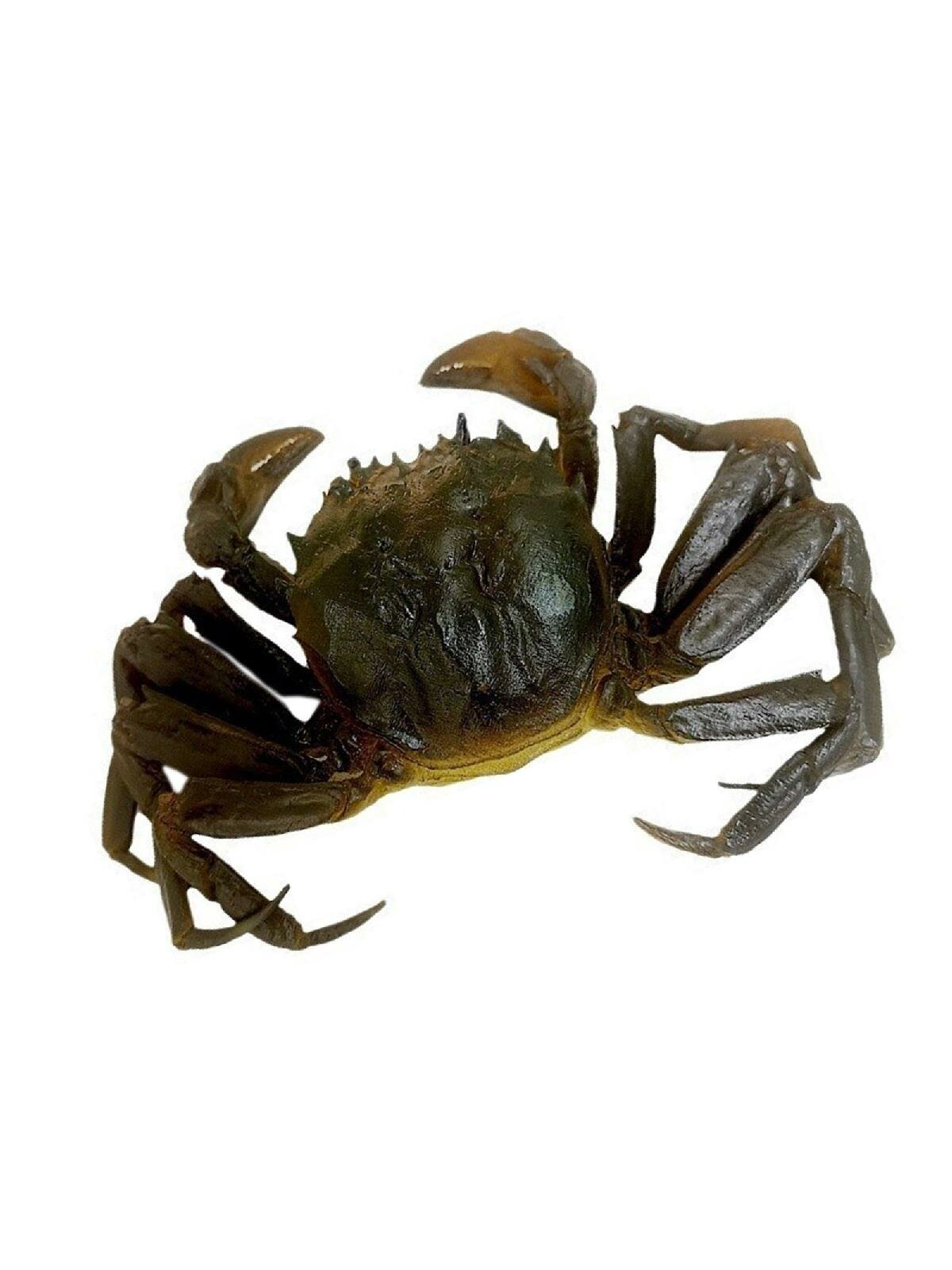 Искусственные Крабы Украшают Реалистичных Крабов для Кухонной Витрины и домашнего декора