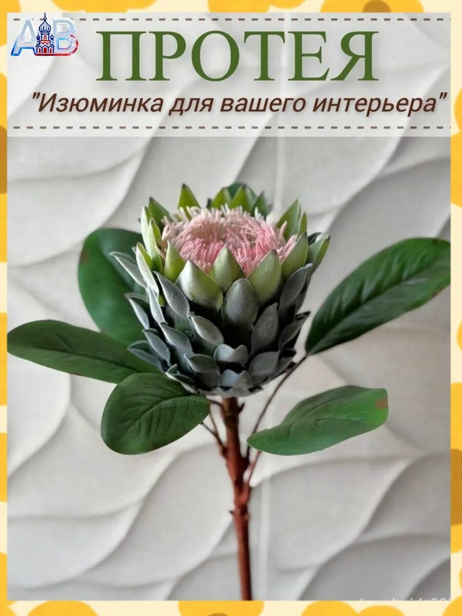Эксклюзивная композиция Протея