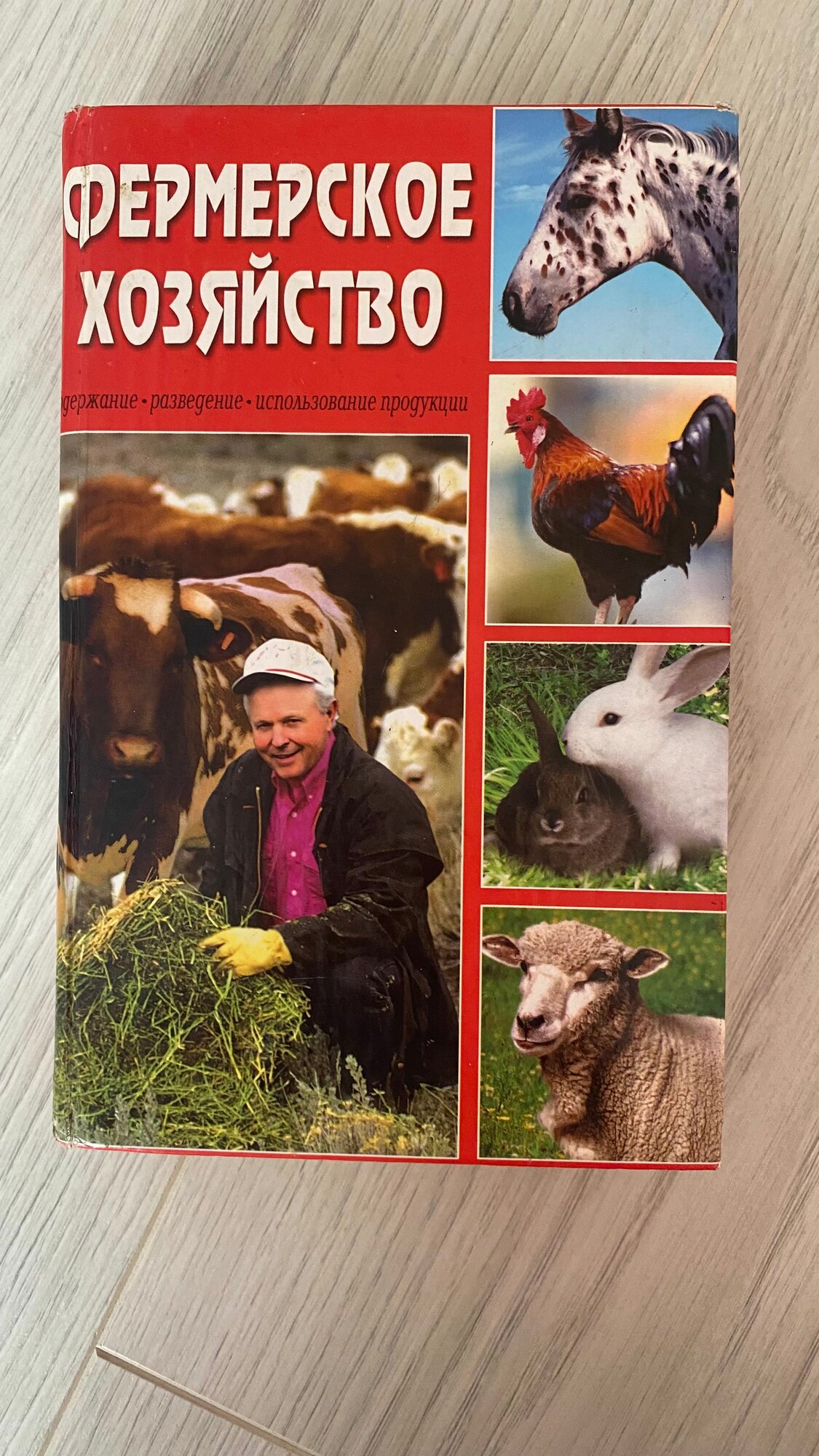 Фермерское хозяйство, 2006 год