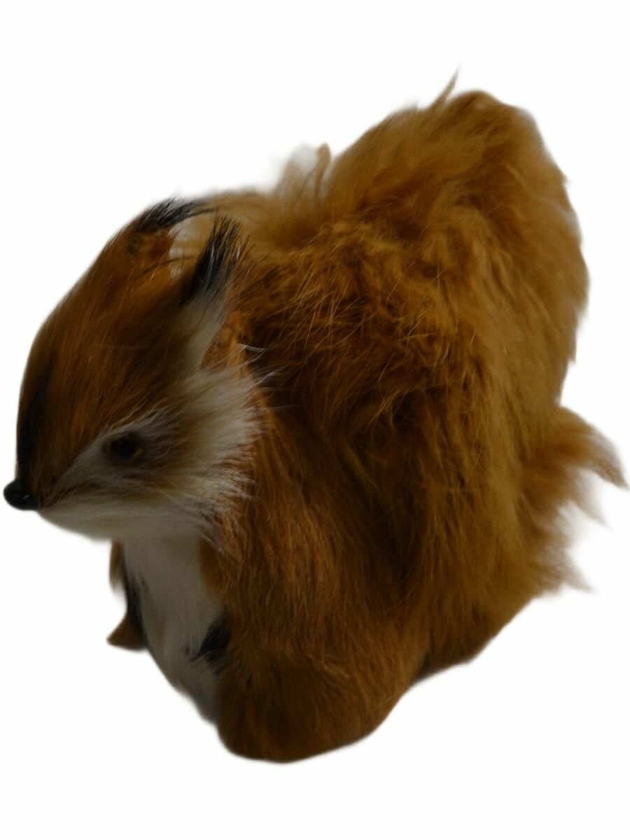 Белка