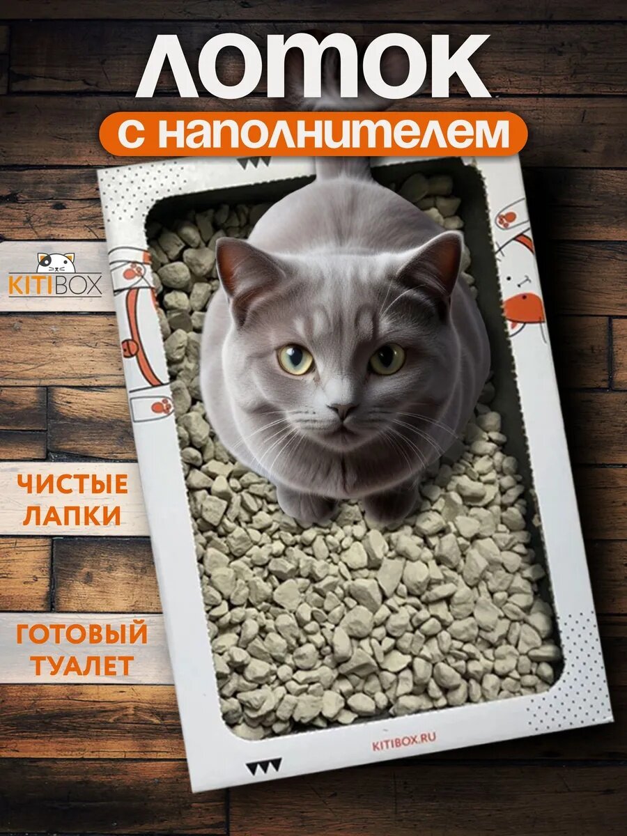 Наполнитель и лоток 2-в-1KiTiBOX. Долгоиграющий одноразовый туалет для котов