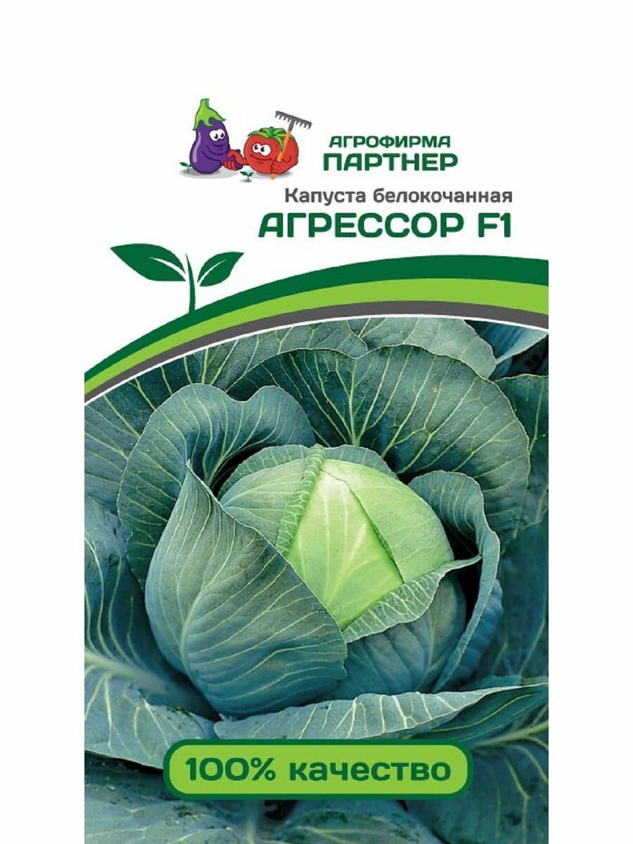 Капуста агрессор F1 Б/К цв. п 10 семян Партнер