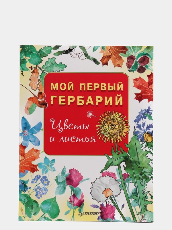 Мой первый гербарий. Цветы и листья