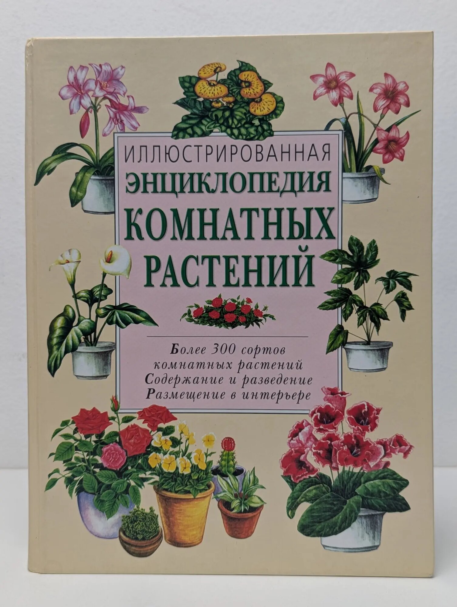 Иллюстрированная энциклопедия комнатных растений 2002