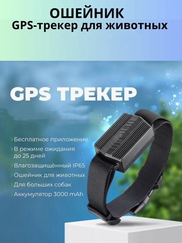 GPS-трекер для вашего питомца TK-935 — фото 1