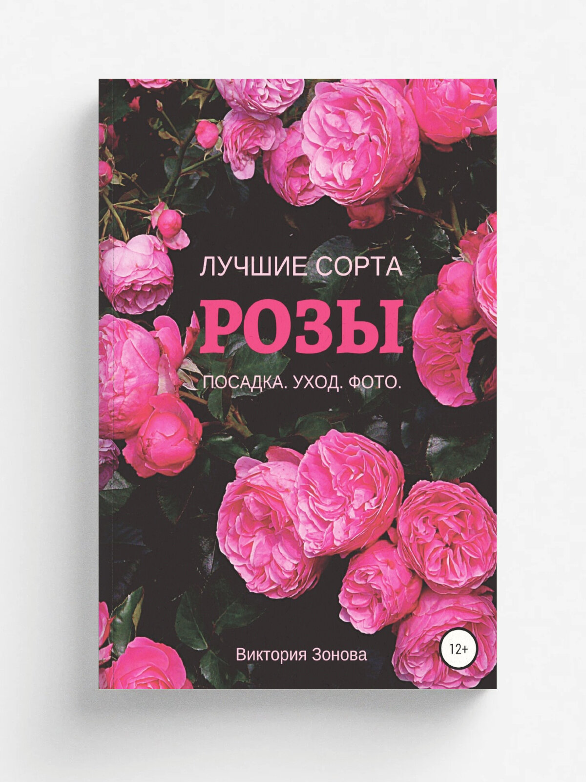 Розы. Лучшие сорта