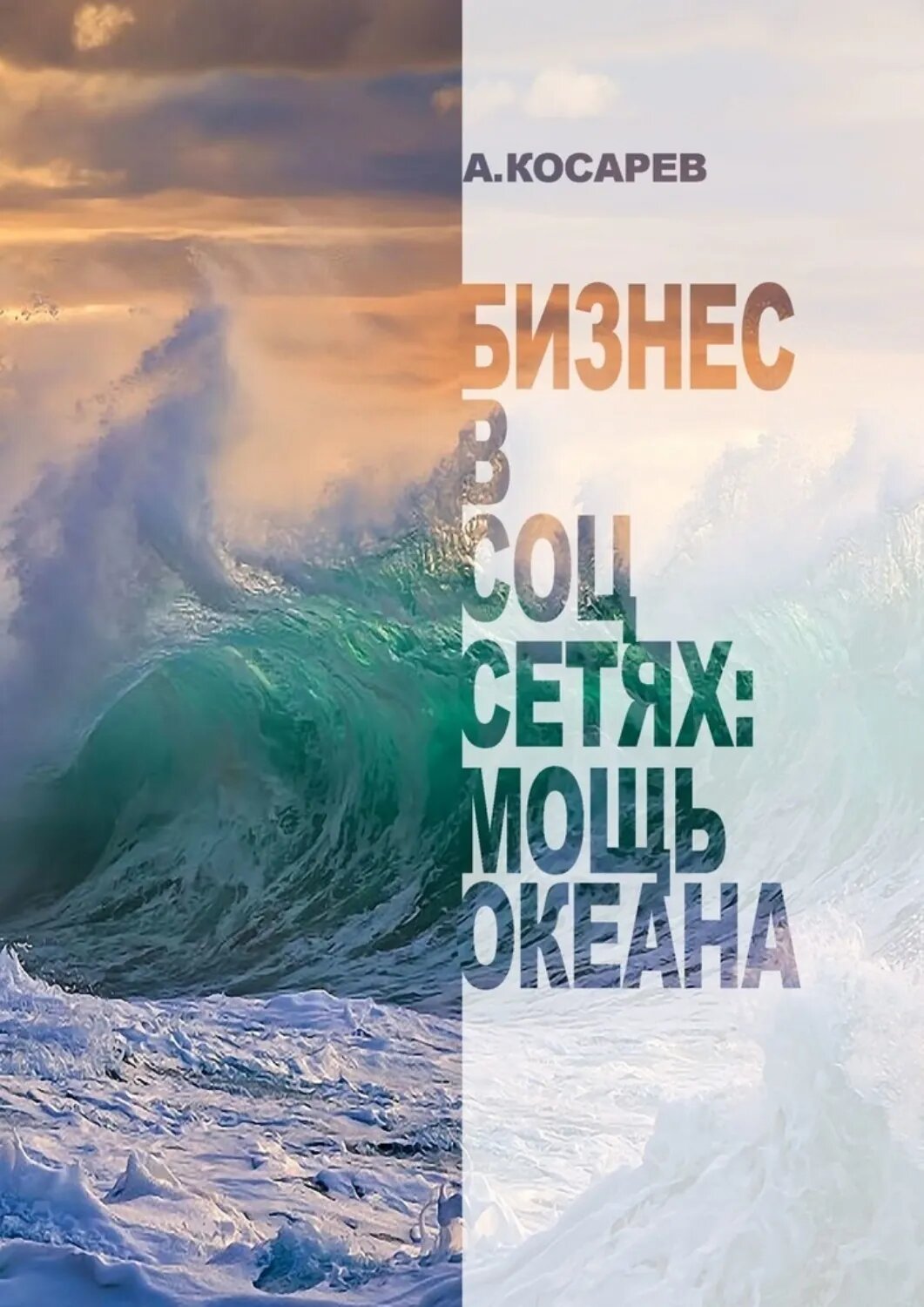Бизнес в соцсетях: мощь океана [Цифровая книга]