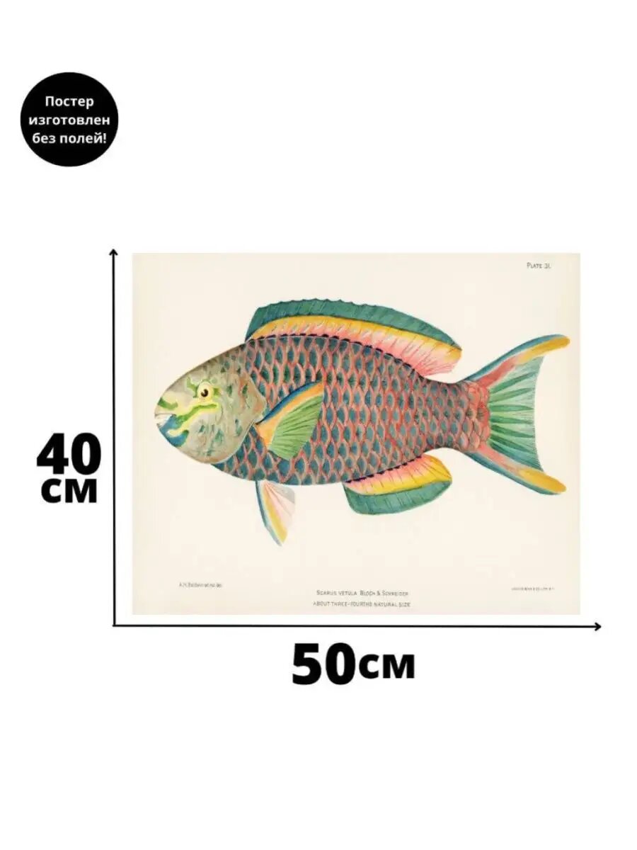 Постер в морском стиле Рыба в ретро стиле