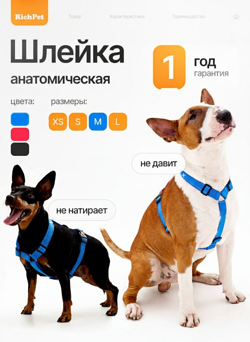 Шлейка для собак средних и крупных пород RichPet, цвет синий, размер М