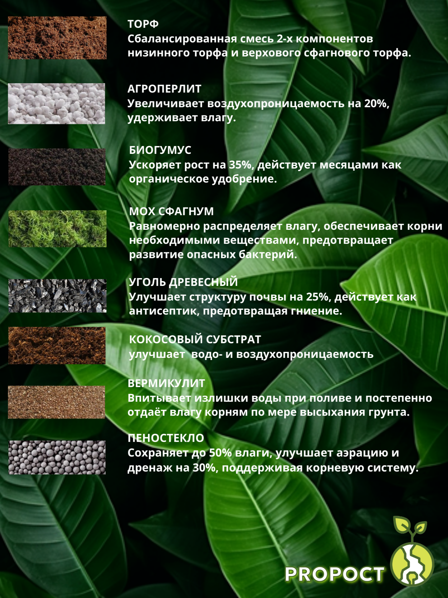 Грунт для монстеры 3 л для отличного роста и развития растения