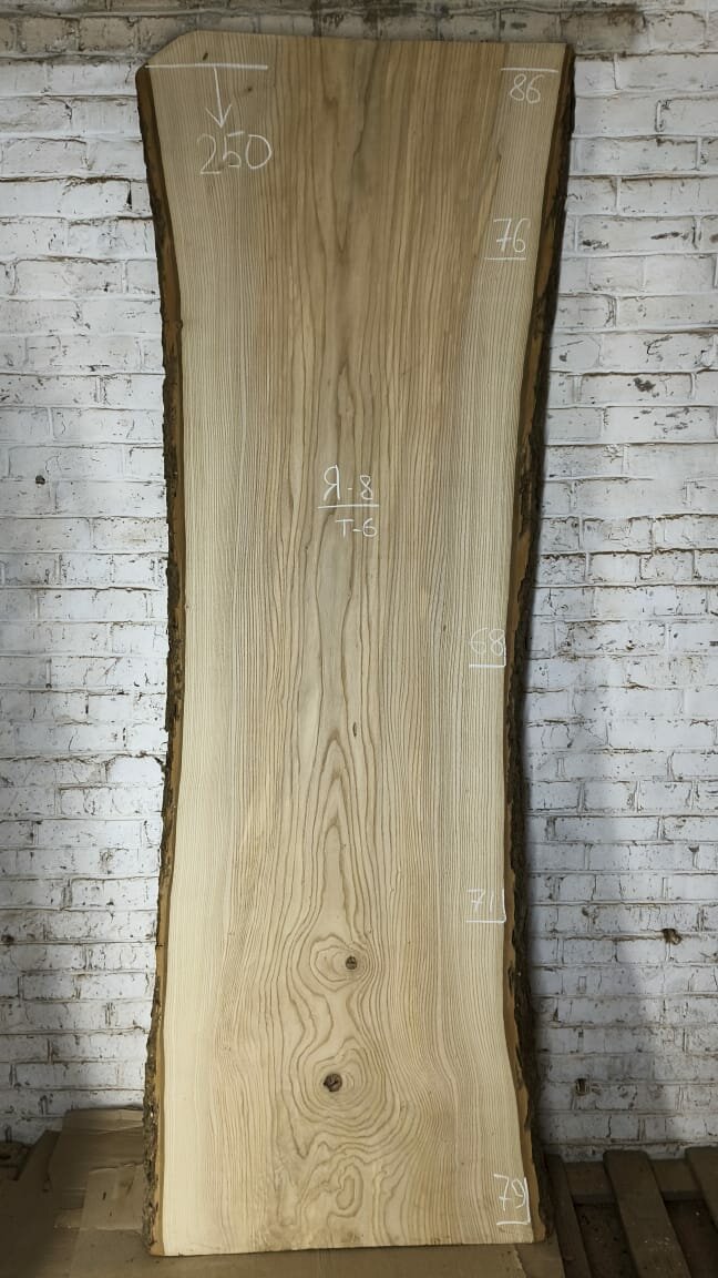 Слэб дерева Ясень Я8, широкий, выровнен в плоскости , высота 250 см.