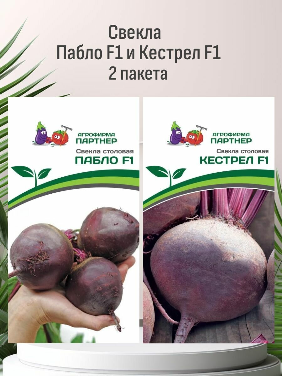 Свекла Пабло F1 и Кестрел F1 2 пакета по 1г семян
