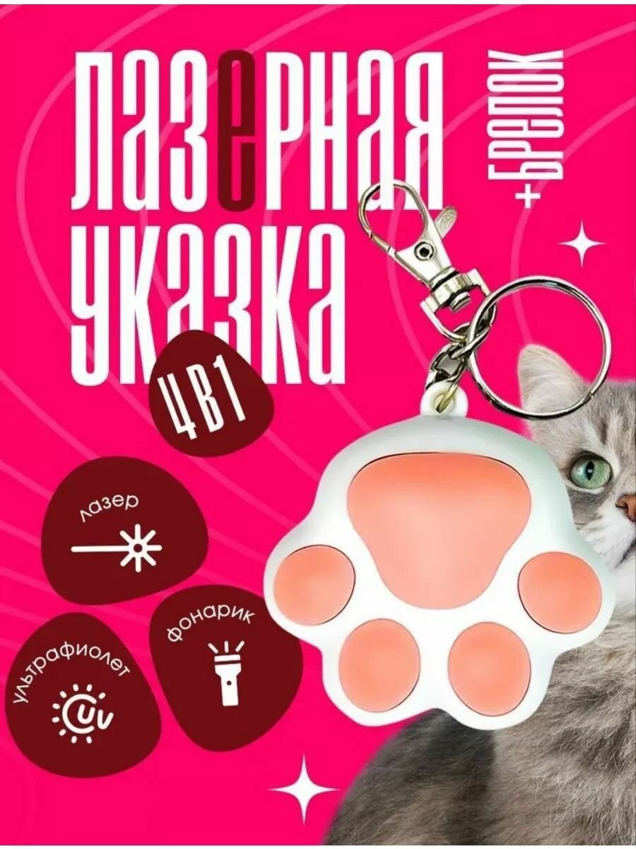 Лазерная указка для кота с проэкцией