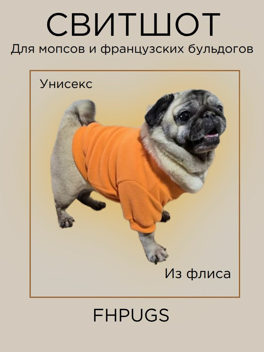 Свитшот-толстовка для собак, размер M, для мопсов и французских бульдогов, оранжевый, без капюшона