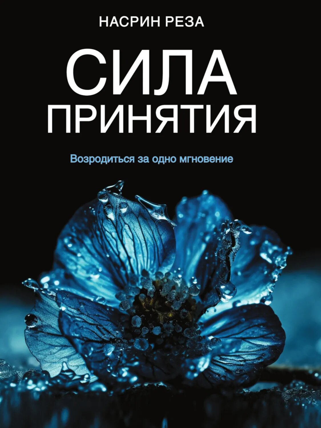 Сила принятия. Возродиться за одно мгновение [Цифровая книга]