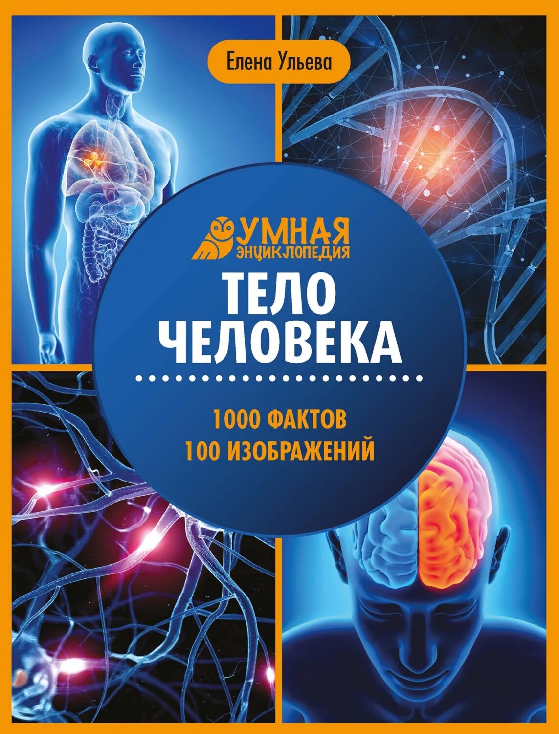 Тело человека. Энциклопедия [Цифровая книга]