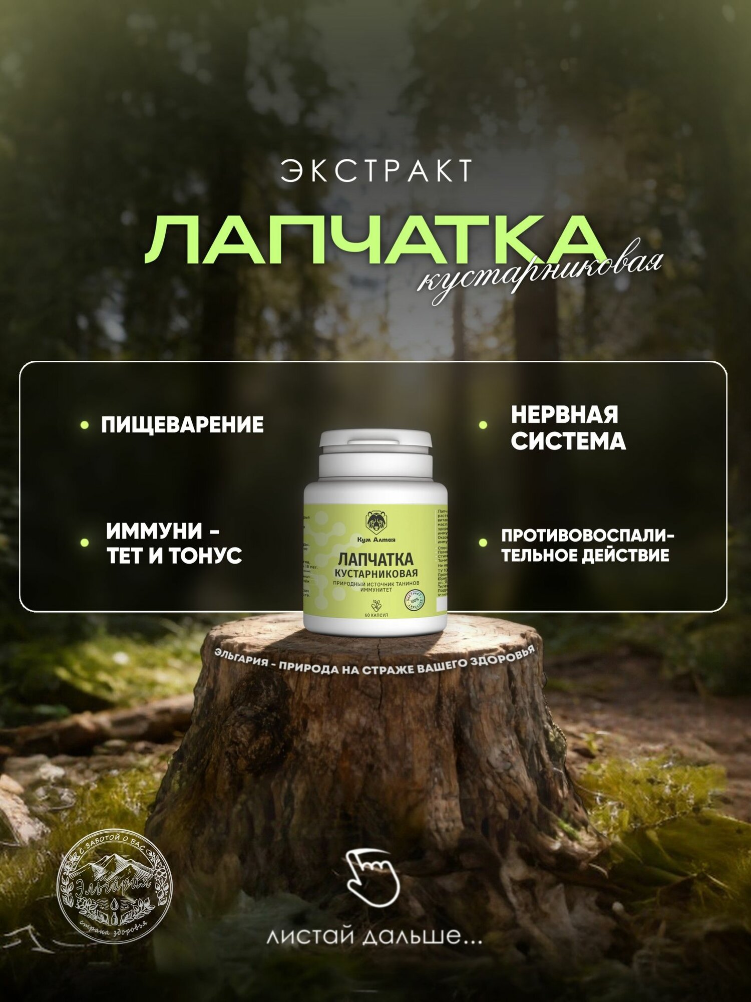 Лапчатка кустарниковая(курильский чай)экстракт, 60 капсул 500мг