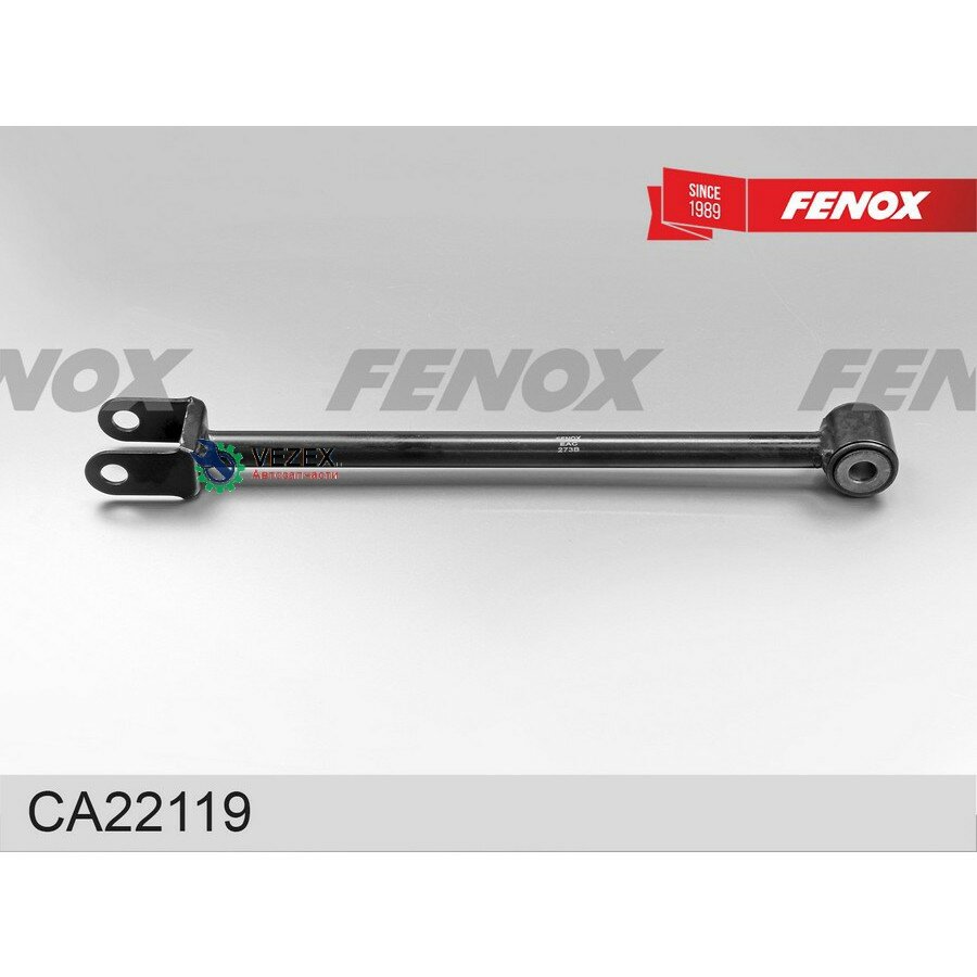 FENOX CA22119 Рычаг подвески