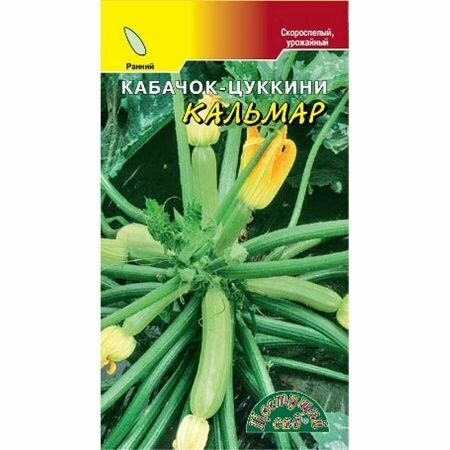 Семена Кабачок Кальмар - кустовой . ЦветСад.