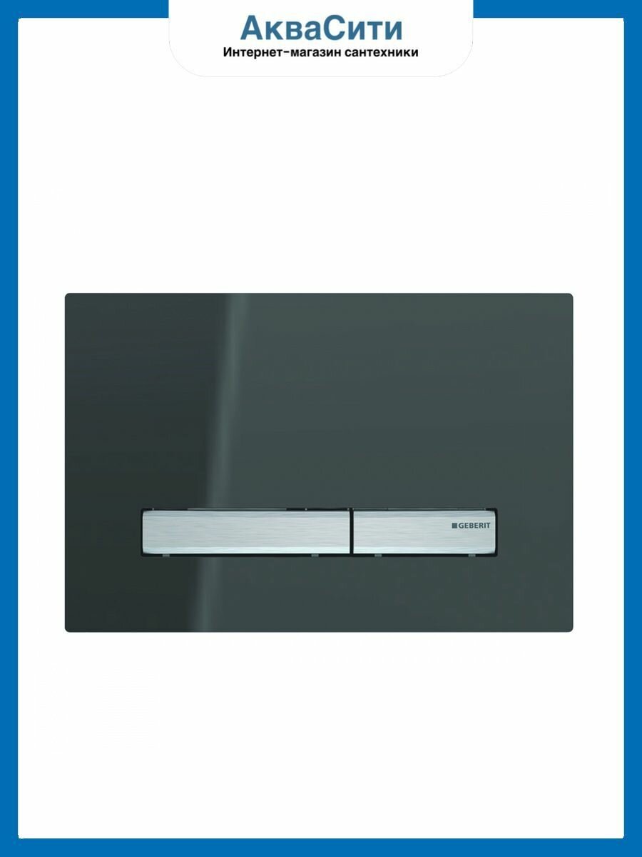 Смывная клавиша Geberit Sigma 50 115.788. SD.2