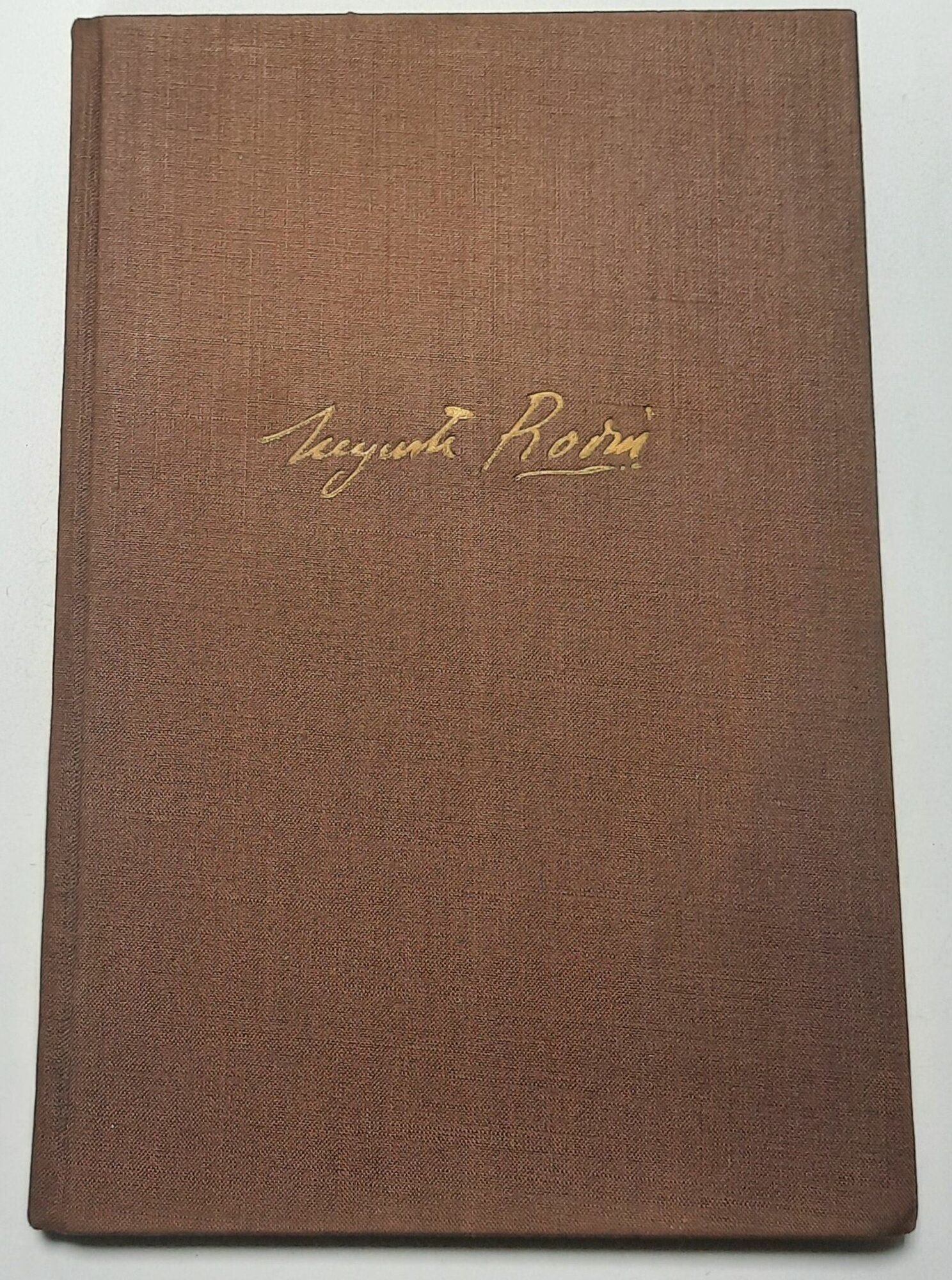 Rodin. In gesprachen und briefen