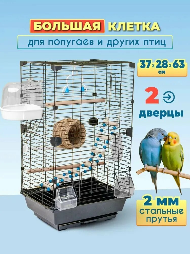 Клетка