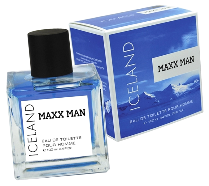 Туалетная вода мужская 100 мл Delta Parfum Maxx Man Iceland / Макс Мэн Айленд