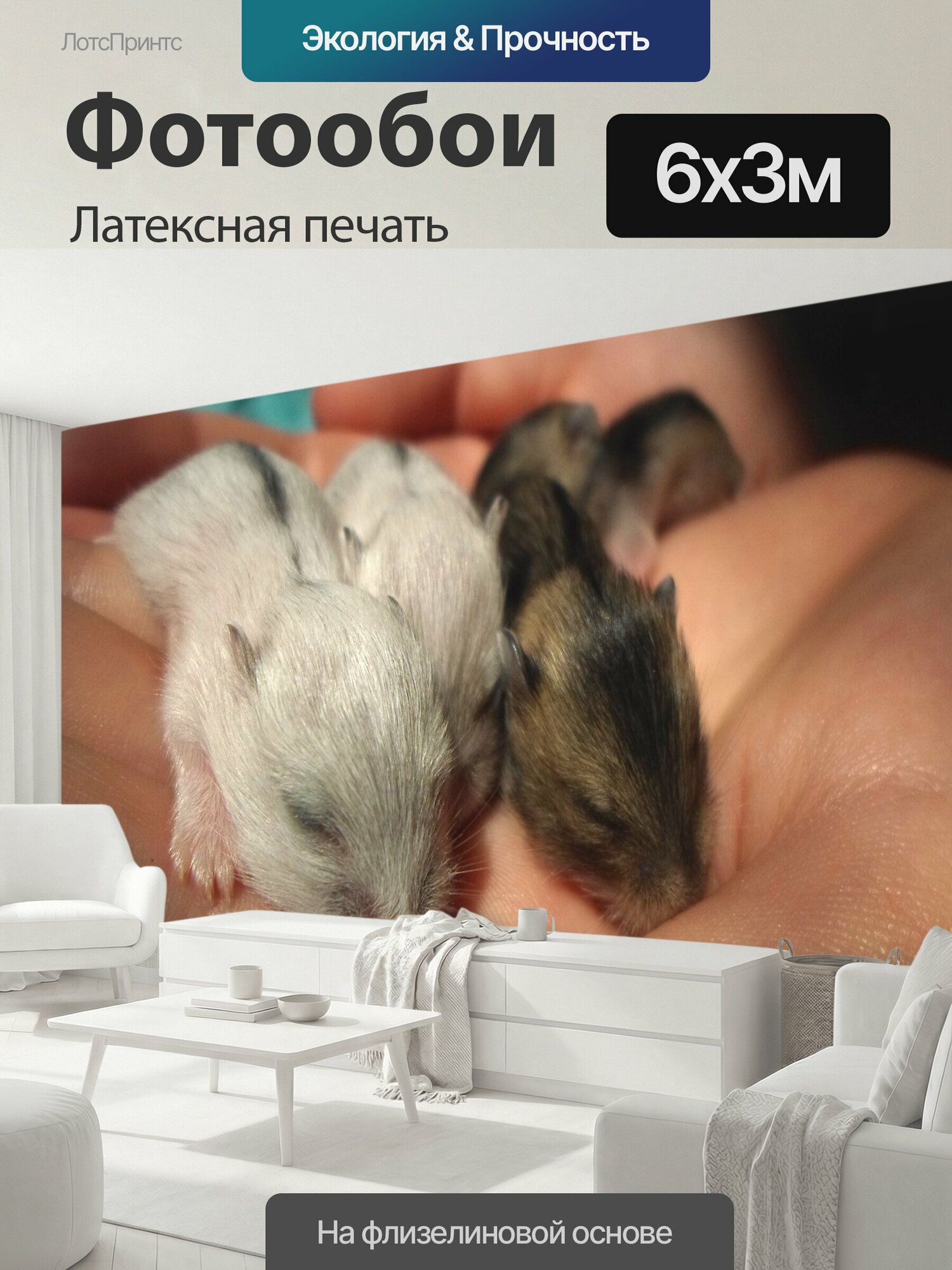 Фотообои моющиеся ударопрочные "Хомяк пупс, хомячок, хомячок щенков" 600x300 см. латексная печать
