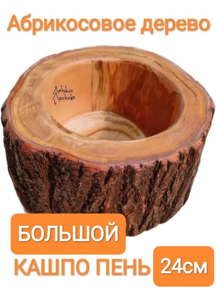 Кашпо-ваза "Пень Премиум Большой" D20-24 высота 10см полено из абрикоса с крепкой корой для декора интерьера. ЭКО кругляшок из бревна