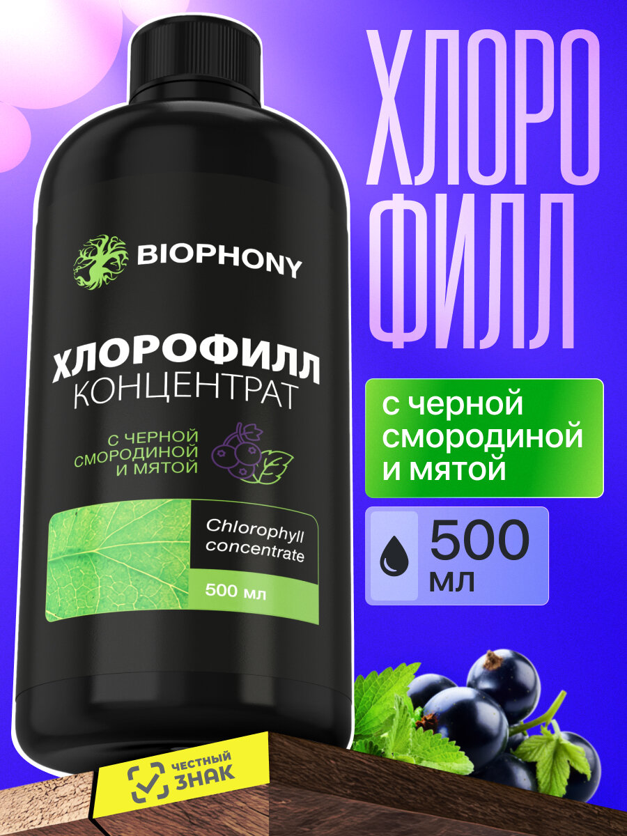 Хлорофилл жидкий пищевой БИО питьевой концентрат 500 мл со вкусом Черной смородины-мяты